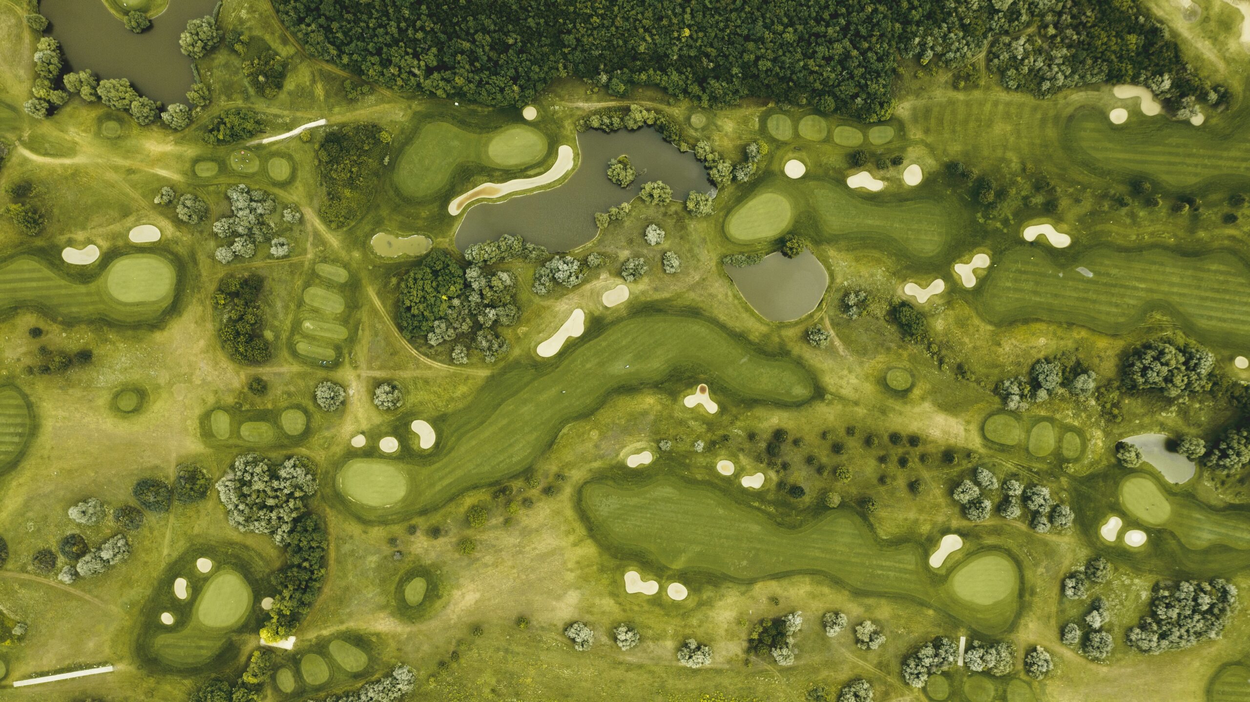 The Best Golf Courses Near The Lodges at Fort Mill